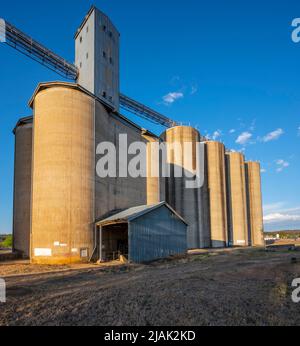 Grain silo's at Moree New South Wales Australia Stock Photo - Alamy