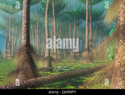 Wattieza: one of the earliest known trees Stock Photo - Alamy