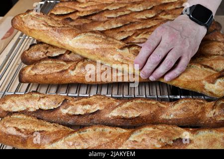 Real French tradition Baguette - Paris - France Stock Photo - Alamy