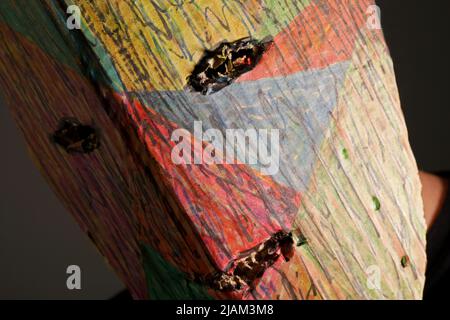 masked man on dark background Stock Photo - Alamy