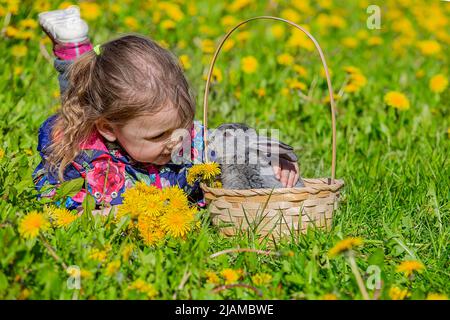 A girl with a small gray rabbit in a basket lies in a clearing in ...