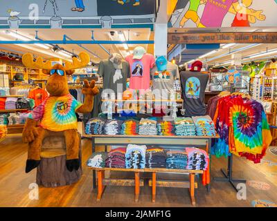 Cool As A Moose at 118 Main Street in historic town center of Bar ...