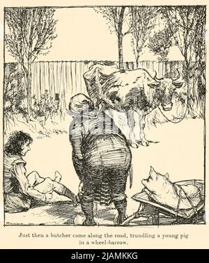 pig in wheel barrow Stock Photo - Alamy
