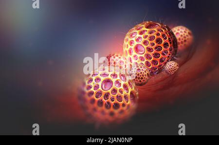 Allergens in body under microscope. Spores of pollen, fungi, germs ...