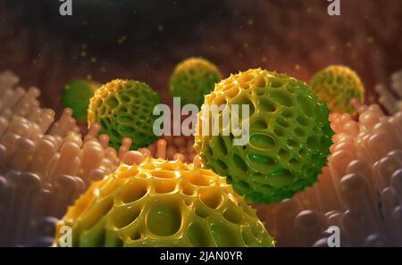 Viral infection. Allergy. Allergic reaction. Mucosal irritation. Pollen, dust 3D illustration ...