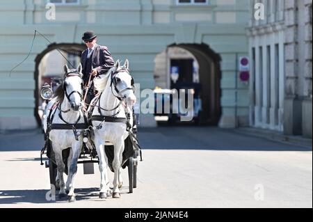 Vienna, Austria. Fiakers drive through the first district in Vienna ...
