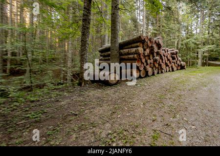 Stack of trunks arranged on the wooded path Stock Photo - Alamy
