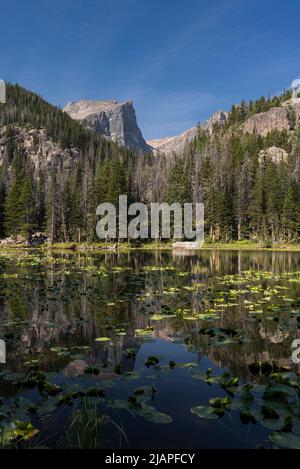 Fall in the Colorado Rockies , Lily Lake sparkles as the yellow aspens ...