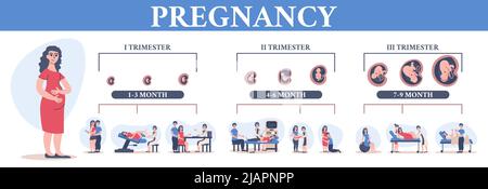 Pregnancy childbirth timeline flat composition with isolated icons of ...