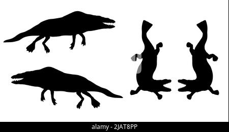 Prehistoric extinct genus of ancient whale - georgiacetus. Drawing with ...