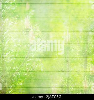 Rustic spring scratched old plank texture in green color Stock Photo ...