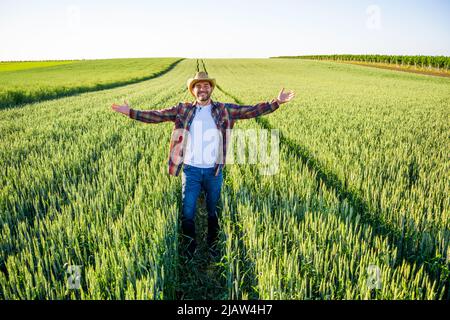 Adult man is cultivating barley on his land. He is satisfied because of ...