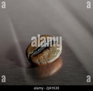 Coffee bean on a reflective surface. Macro. High quality photo Stock ...