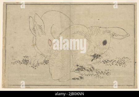 Katsushika Hokusai. Two Rabbits, from The Picture Book of Realistic ...