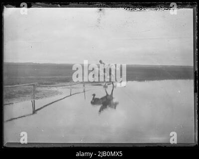 Ulan of the 2nd Uhlans Regiment of the Second Brigade of the Polish ...