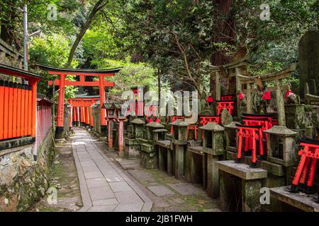 Kyoto, JAPAN - 2 Apr 2021 : Torii gate of Fushimi Inari-taisha with ...