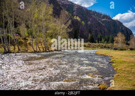 Turbid water of the Chuya river in the Altai Republic, Nature landscape ...