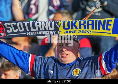 Scotland Fan during the World Cup Group C soccer match between Scotland ...