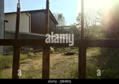 A damaged building and an abandoned car are seen in the southern town ...