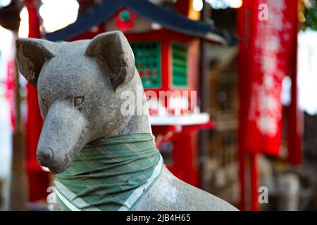 Statue guardian fox at Hanazono shrine in Tokyo Stock Photo - Alamy