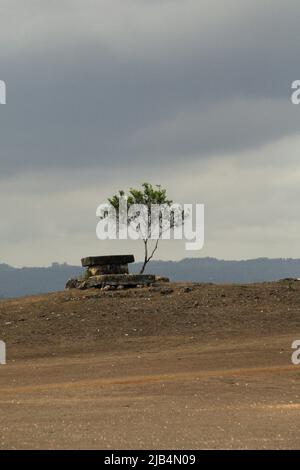 A megalithic tomb below a tree on Hoba Kalla field in Patiala Bawa ...