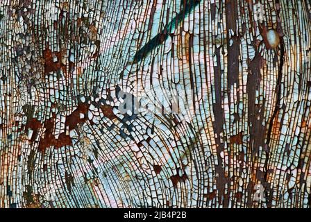 Macro, surface structure, colour, rust Stock Photo - Alamy
