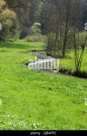 Spring in the Aufsess valley, the little river Aufsess in its upper ...