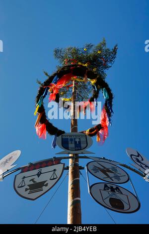Maypole, decorated tree trunk, guild signs, tradition, customs, village ...