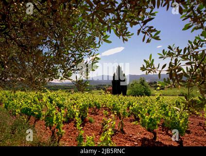 Typical cabanon in the Provencal countryside Stock Photo - Alamy