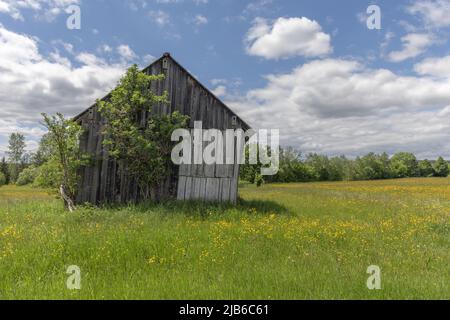 Hut in the nature reserve of Rotenbach meadows in High Black Forest ...