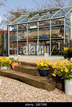 A small glass greenhouse with spring plants in pots, located in ...
