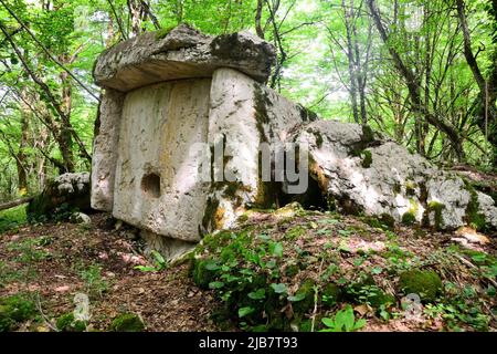 Dolmen at the mysterious Abkhazian forest at the Kodori gorge Stock ...