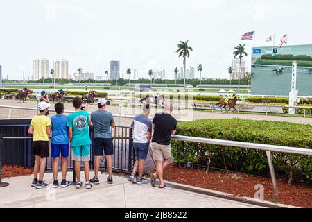 Hallandale Florida Miami,Gulfstream Park racetrack racecourse ...