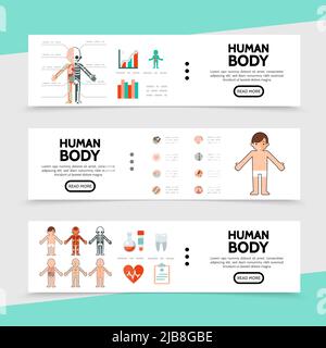 Skeletal system. Biology education banner for kids Stock Vector Image ...