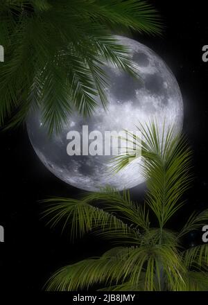 Fantasy palm trees and full moon, elements for this image furnished by ...