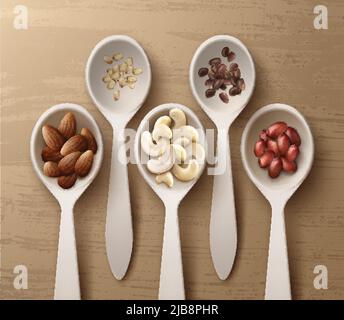 Vector different nuts in white spoons peanuts, cashew, almond and cedar ...