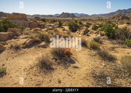 hiking the maze loop in joshua tree national park in california, usa ...