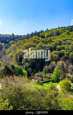 The historic Dunster Castle, on the edge of the village of Dunster ...