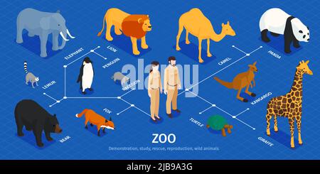 Isometric zoo infographics with isolated human characters exotic ...
