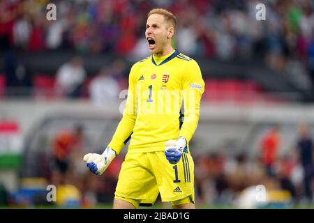 Hungary goalkeeper Peter Gulacsi celebrates victory after the final ...