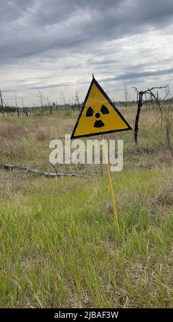 An international ionizing radiation trefoil symbol is pictured at the ...