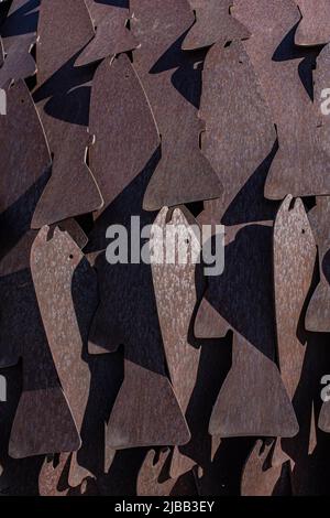 Tingley Beach in Albuquerque, New Mexico Stock Photo - Alamy