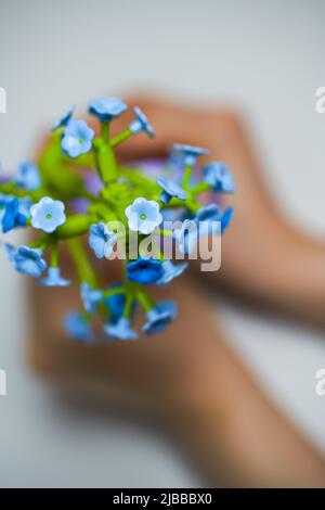 A flower made of children's blocks Stock Photo - Alamy