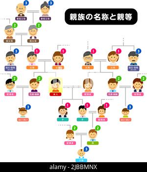 Genealogy, infographic family tree vector illustration. Cartoon green ...