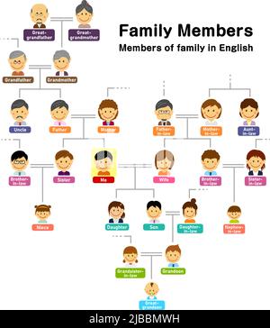 Family tree ( members of family ) vector illustration Stock Vector ...
