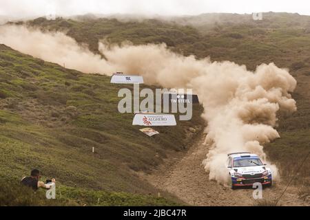 34 PAJARI Sami (fin), MALKONEN Enni (fin), Skoda Fabia Evo, action ...