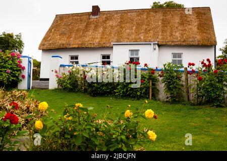 Thatch roof cottage in Cavan, Ireland Stock Photo - Alamy