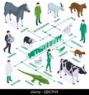 Farm animals veterinary isometric flowchart with health veterinary ...