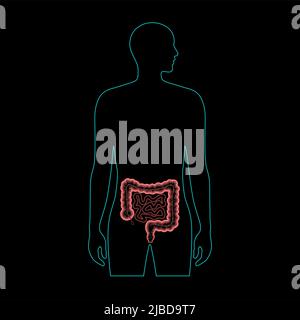 appendix pain anatomy for medical concept 3d illustration Stock Photo ...