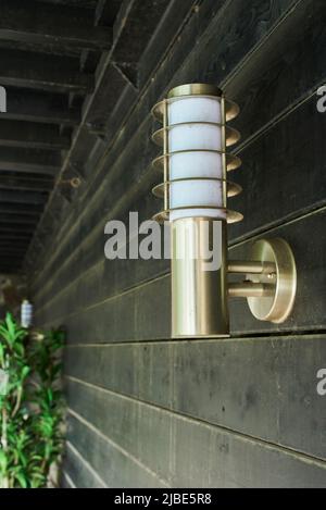 Indoor terrace interior with comfortable hanging chair and houseplants ...